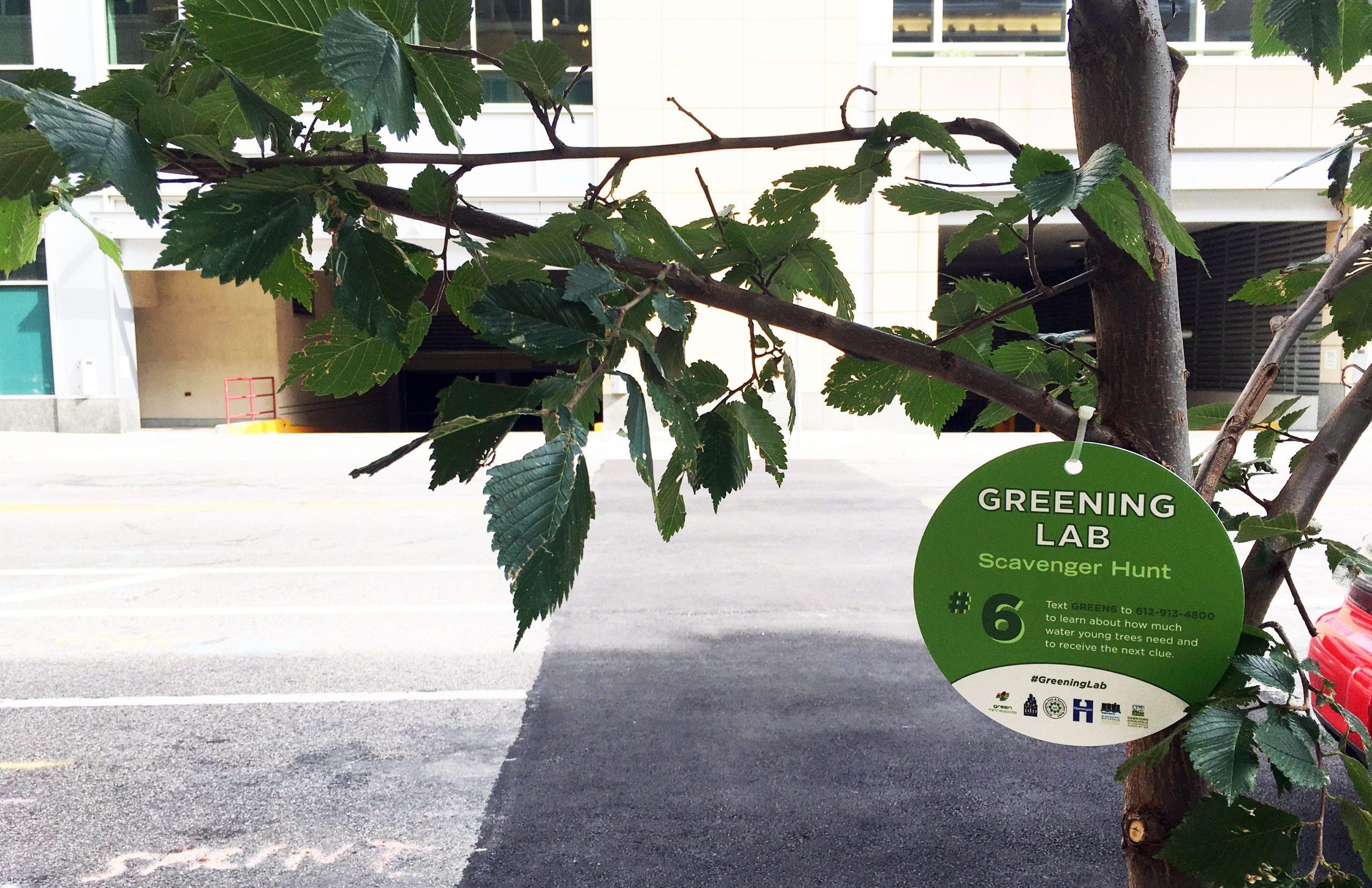 Downtown Development - The DMNA